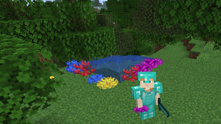 Guide to Keep Coral Alive in Minecraft - Games Bap